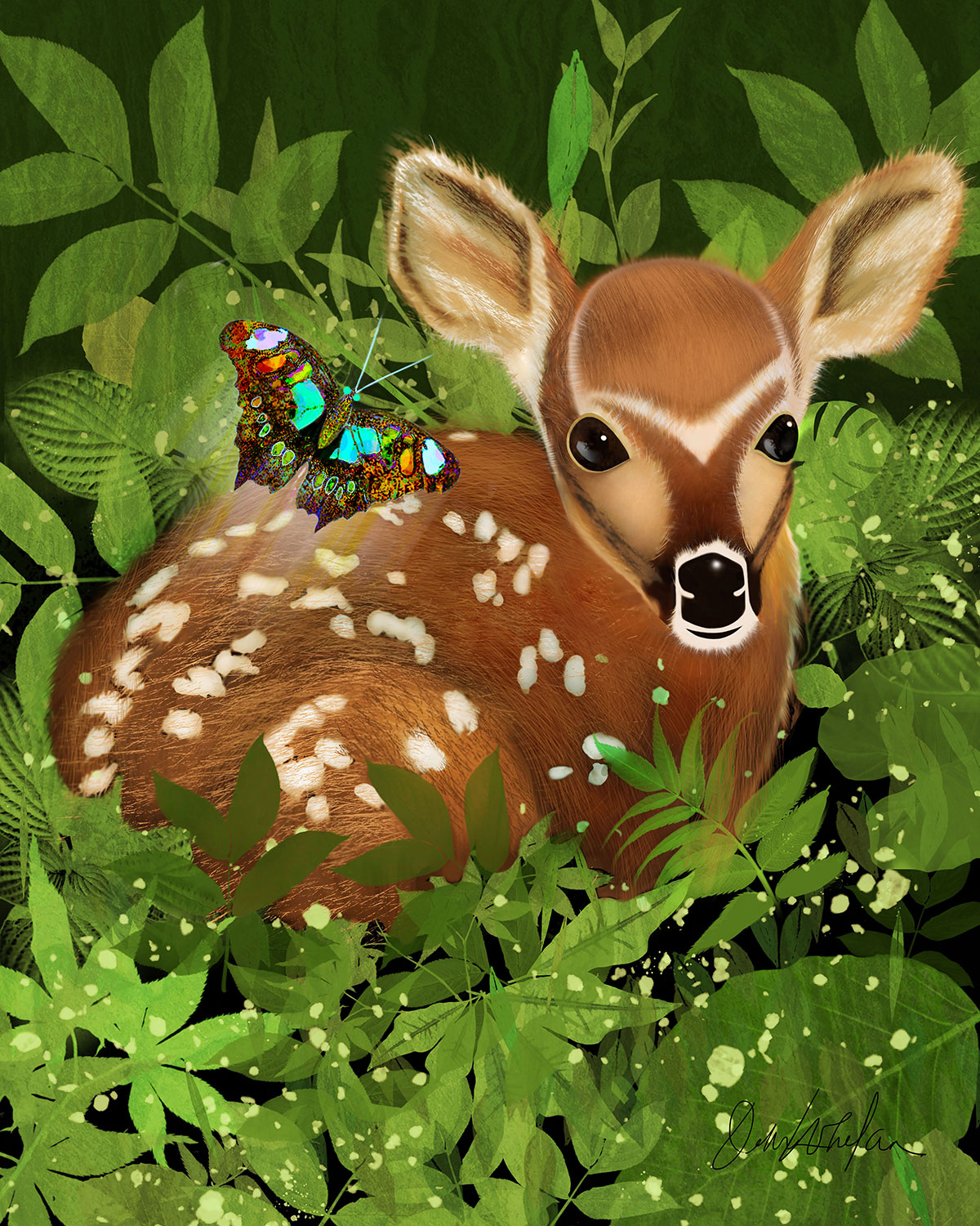 Fawn and Butterfly Friend - Debra Whelan Art